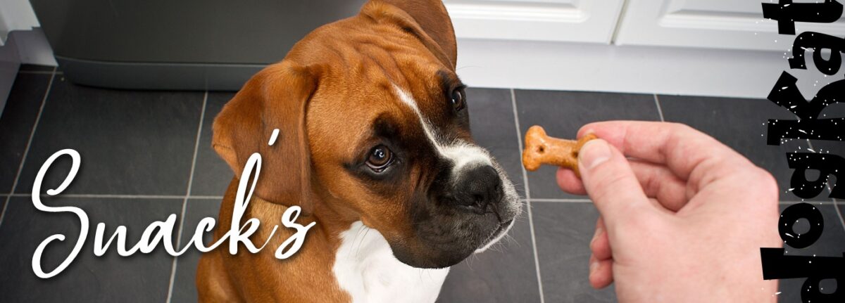 SNACKS PERROS - DogKat